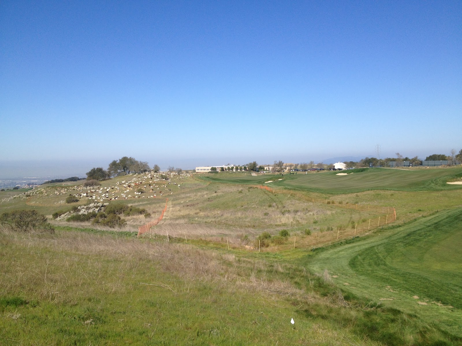 TPC Stonebrae Maintenance