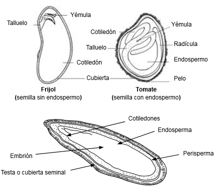 Reproducción de Plantas