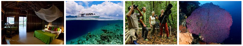 BENUA TERINDAH: Weda Resort - Wisata Halmahera Tengah