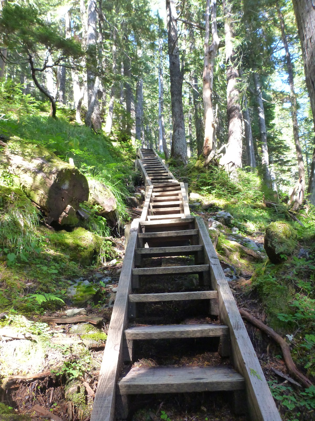 His "G"nes: Gavin Hill Trail in Sitka Alaska