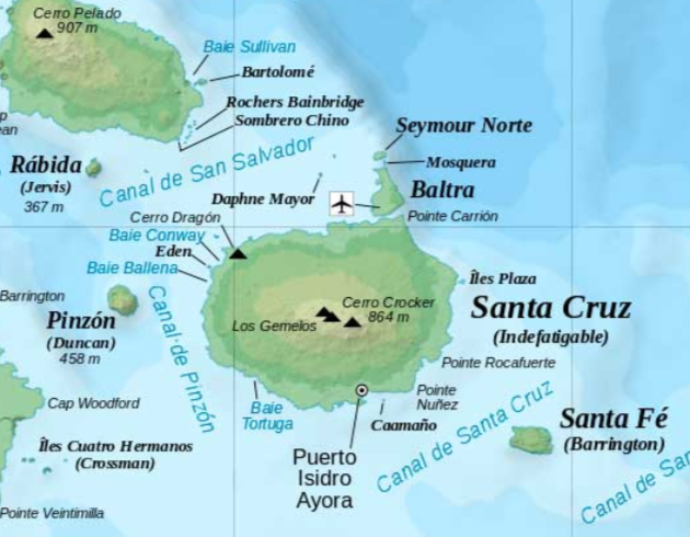 Santa Cruz Island, Galapagos - Tortoises, Iguanas, and Lava Tunnels