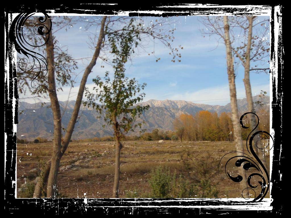 Spreebird: Parachinar