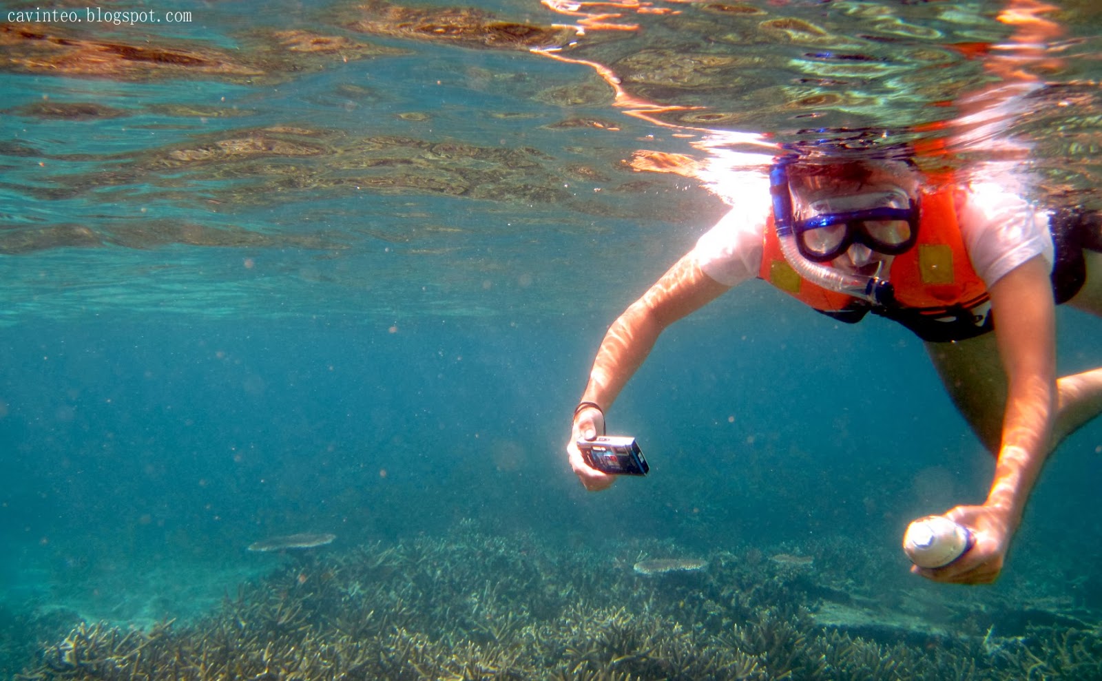 Entree Kibbles: Pulau Tulai (also know as Coral Island) - Full Day ...