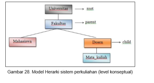 Model Hirarki Basis Data (Hierarchical Model) - Our Akuntansi