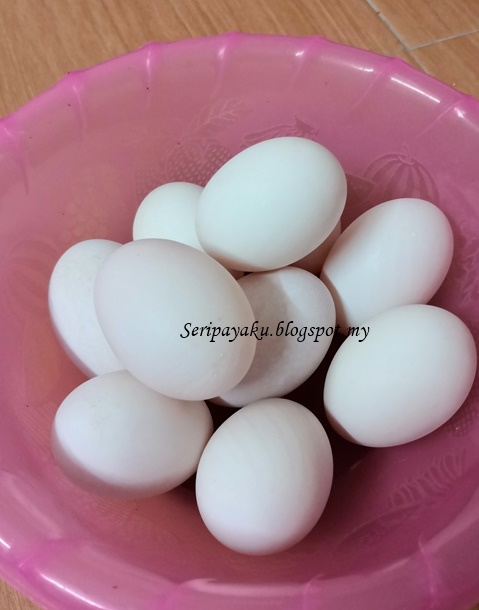 My Kuali: Iftar#2 gulai tolo itik