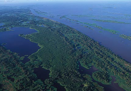 NephiCode: The Little Known Continent -- Amazonia