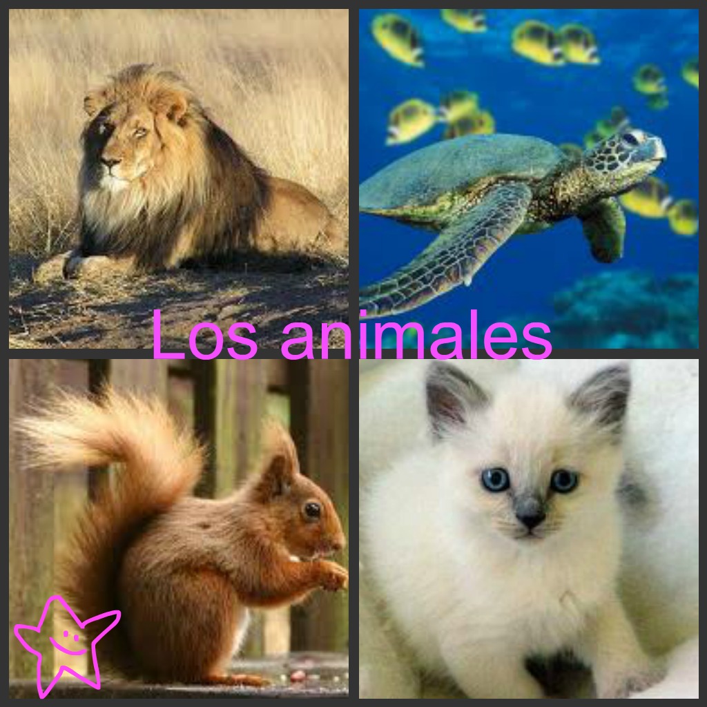 El camino de la vida