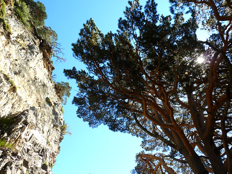 PASOS: Ordesa, Faja Racón. 19 de septiembre