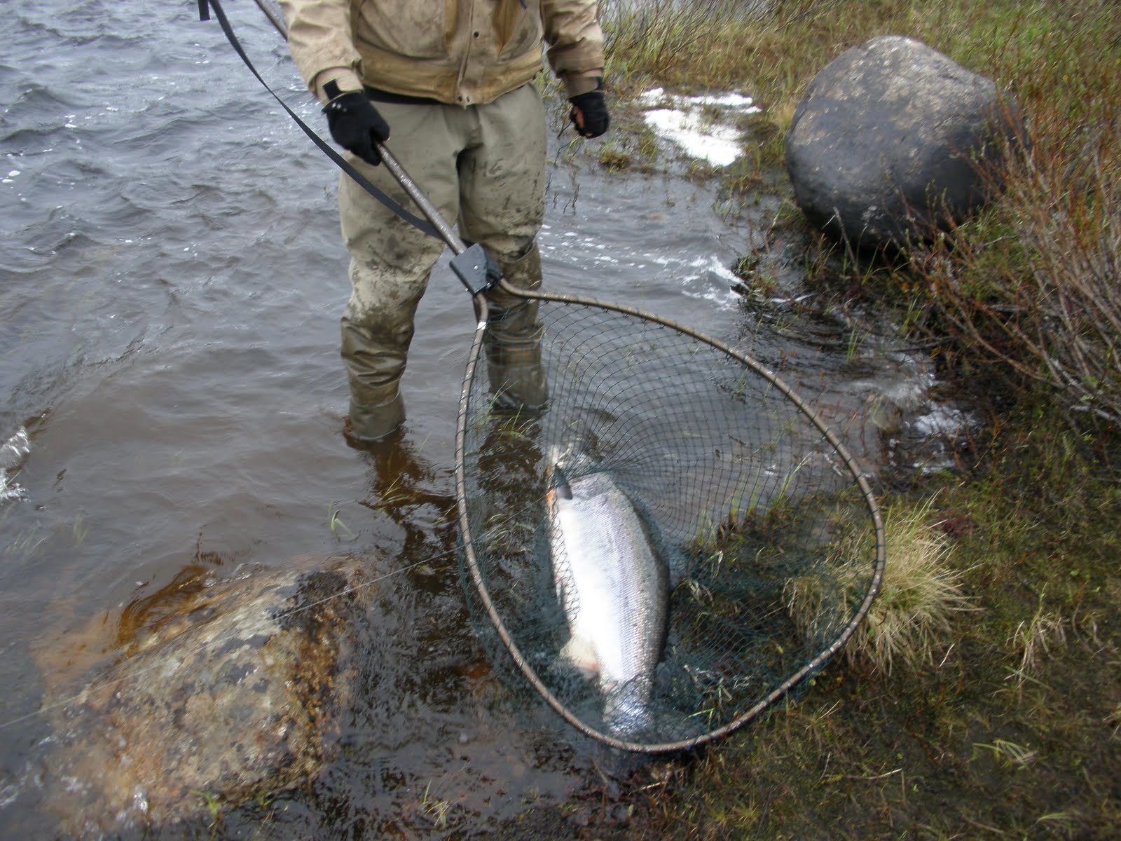 Speycasting: 36lbs Salmon Caught on Monteith Spey Line