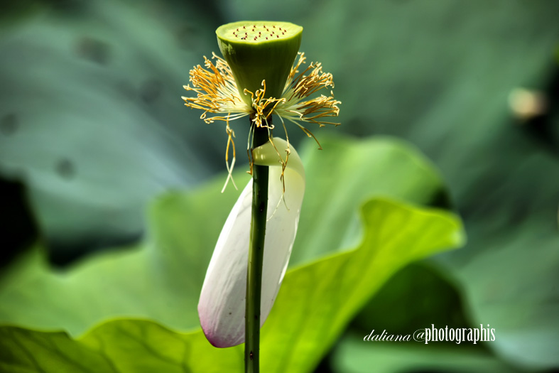 Photographis: July 2013