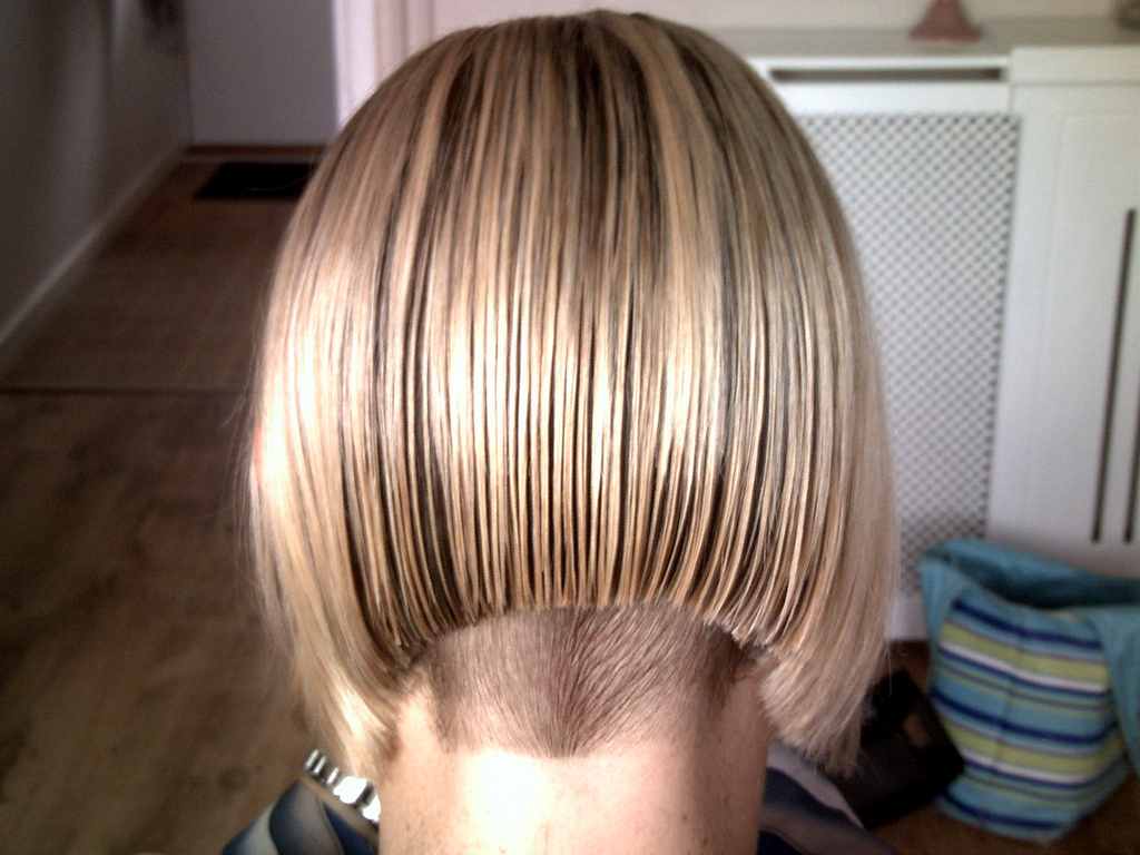 The Pixie Revolution: Getting Clippered