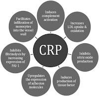 When CRP is high - EXPERT HOMEOPATHY