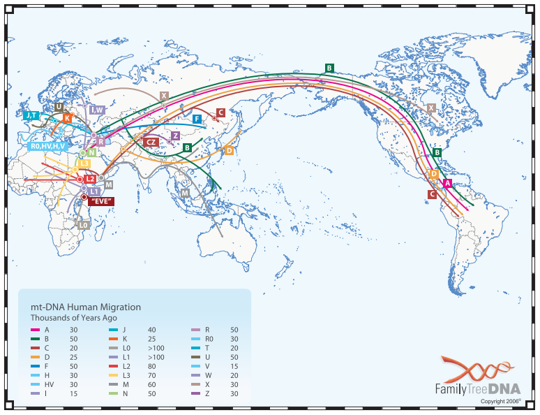 Genealogical Musings: Which DNA Test Should I Buy? A Comprehensive DNA ...