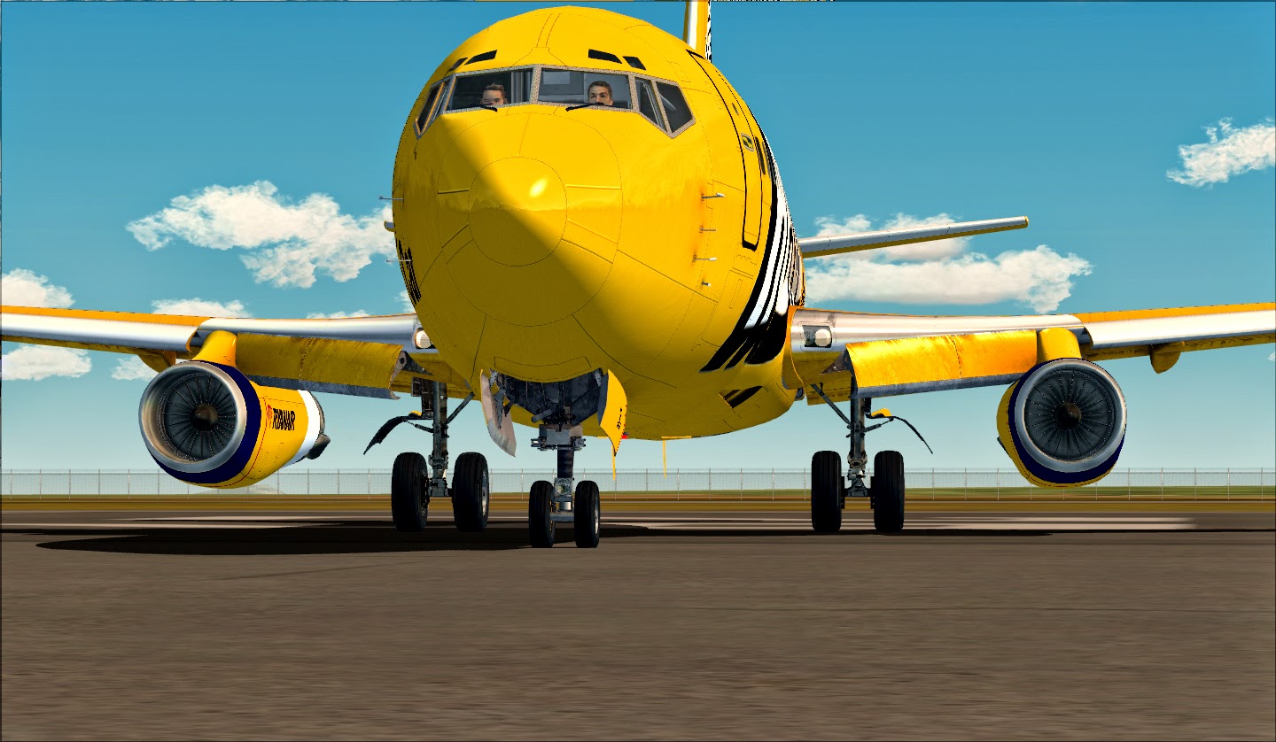 Ryanair HERTZ Textura para Milviz 737-200 | Skybluexxi Simulator Textures