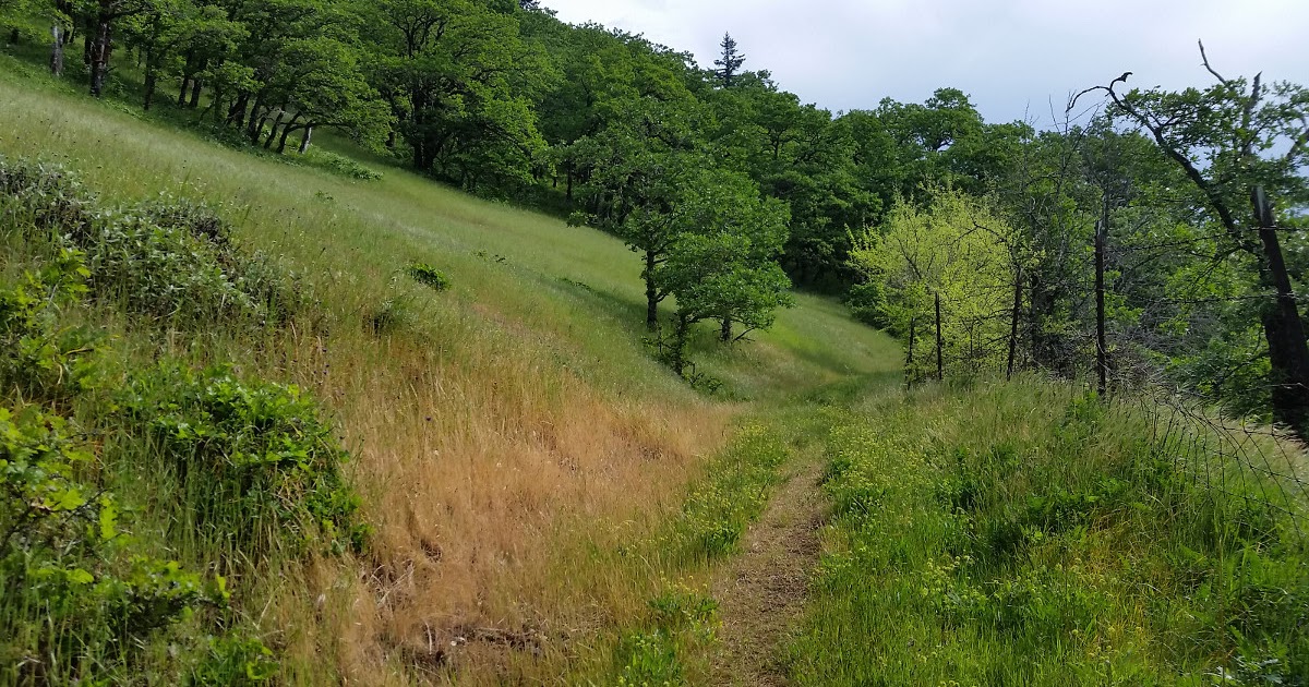 Another day: 2018.5.6. Cook Hill