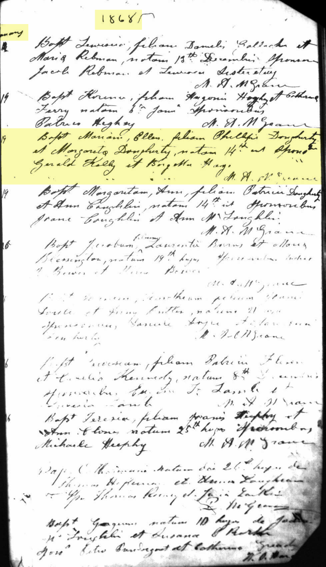 A Genealogy Hunt | Part 683d – Brunhammer Doherty Genealogy – 1868 ...