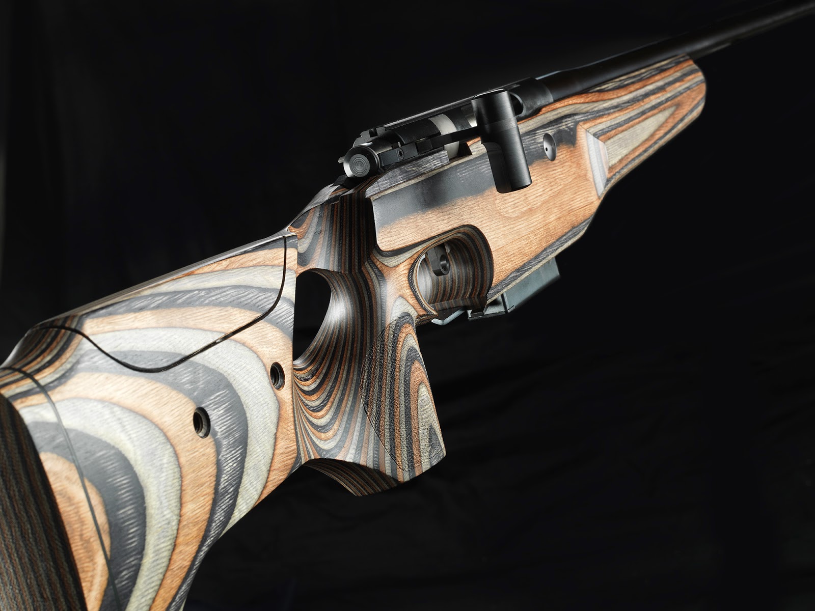 European Sporting Rifles - 21st Century |The Suburban Bushwacker: From ...