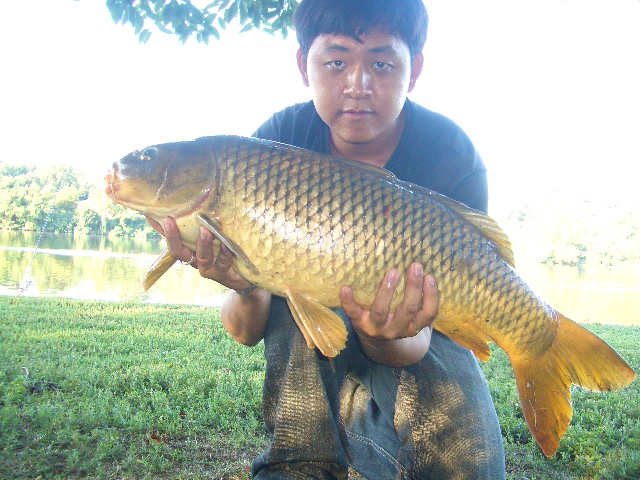 Extreme Philly Fishing: Multi-Species: 2 Years of Fishing in ...