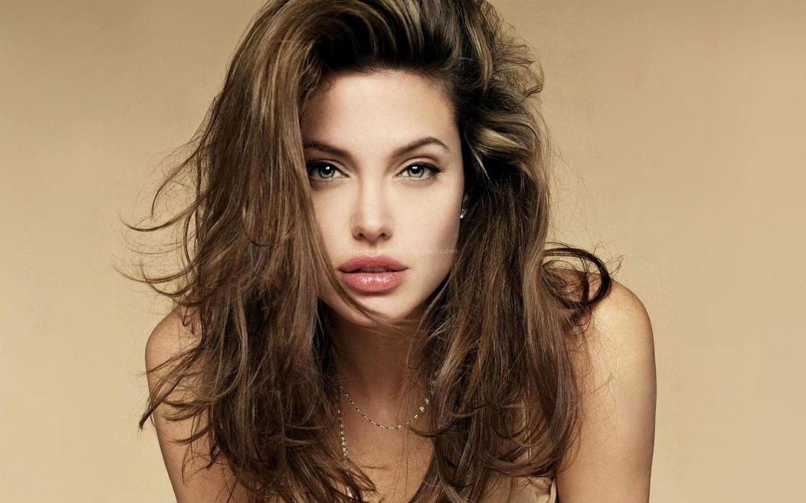 Holloywood Actress Angelina jolie Cute Smile photos | OsmPhotos