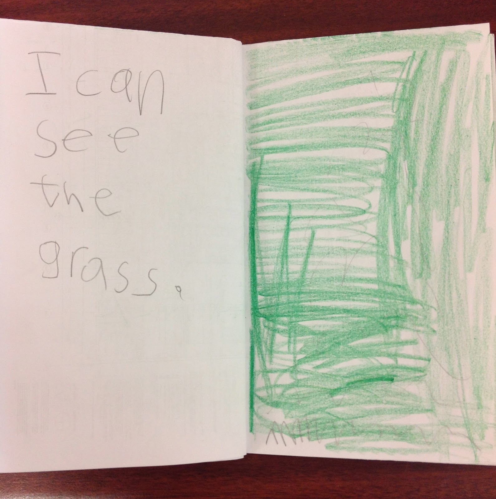 "We Can See" Project: Connecting our Classrooms Online via the ...