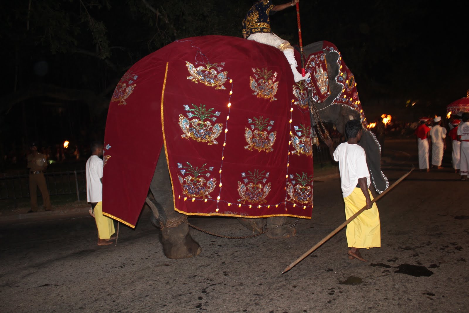 Bob McKerrow - Wayfarer: Navam Maha Perahera - a remarkable pageant ...