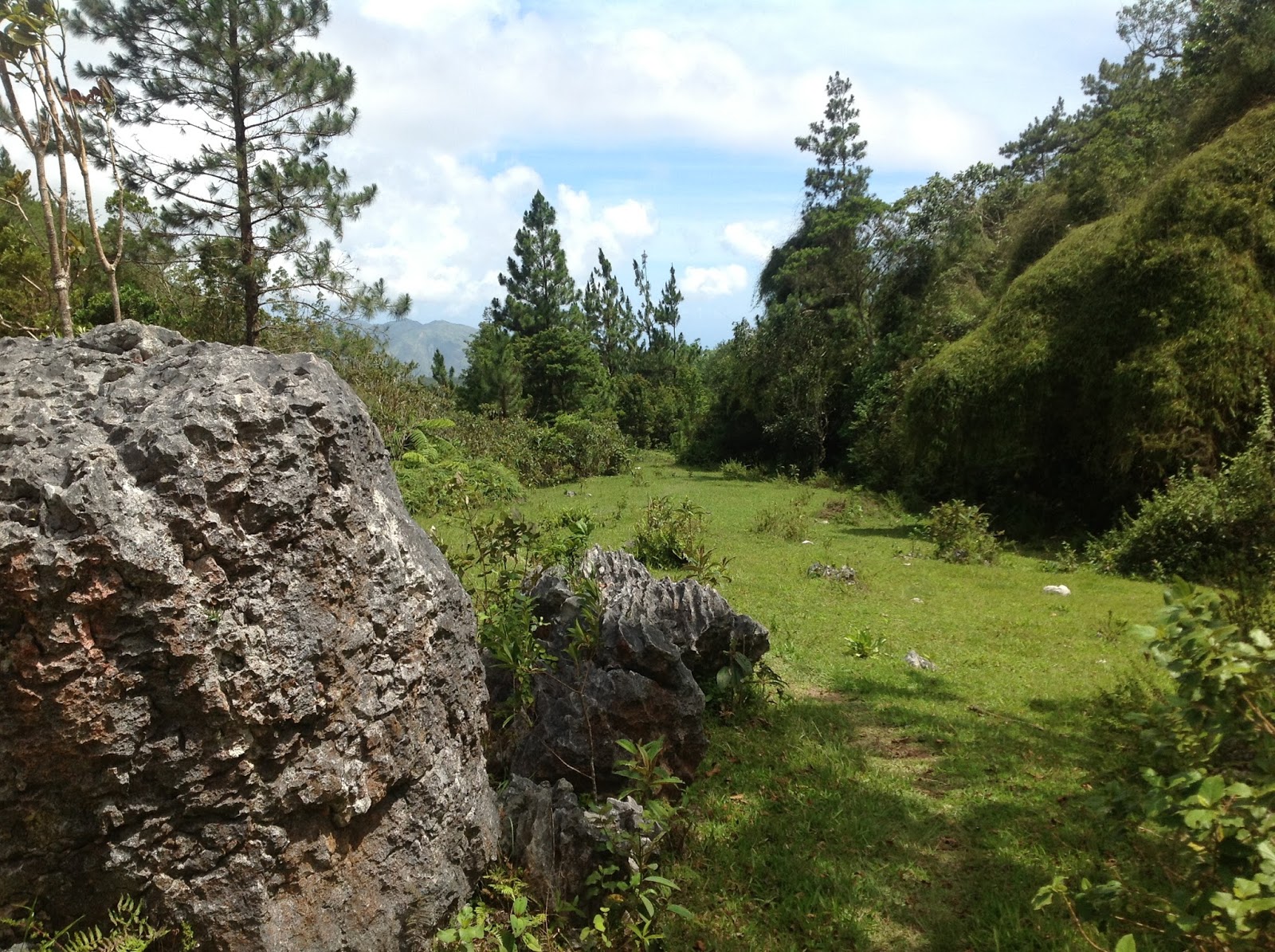 The Last Summer... Kenbe La: Why is Peak Macaya Haiti's Last Remaining ...