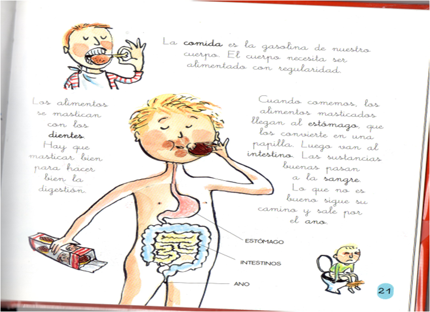 PETITES MANITAS A: ¿Cómo se convierte la comida en caca?