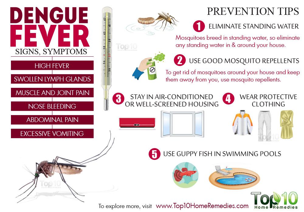 AFFECTIONAL PHARMACOPEIA: Dengue: Its Treatment with Pre & Probitocs