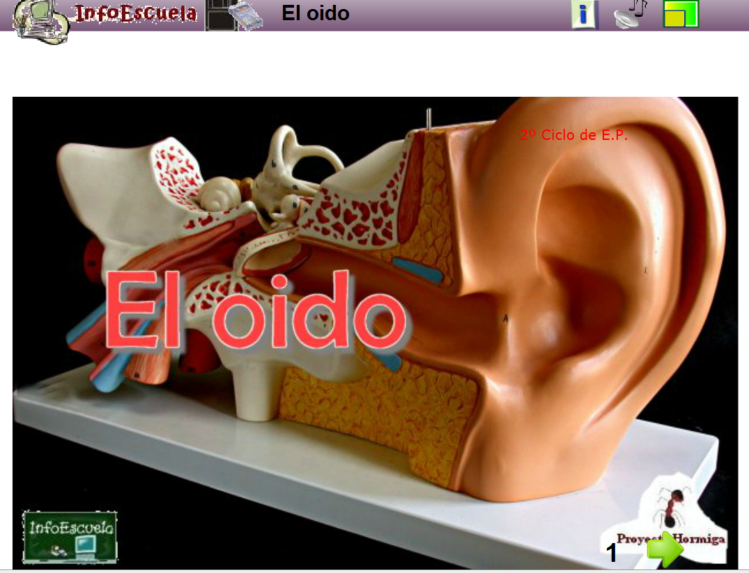 LA MINA .... 3º de PRIMARIA: EL OÍDO