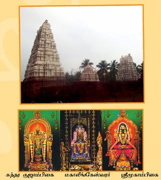 Mahalayapaksham and marutham tree