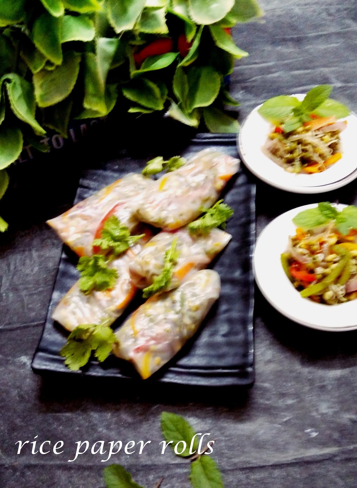 PAAKVIDHI RICE PAPER ROLLS paakvidhi-rice-paper-rolls
