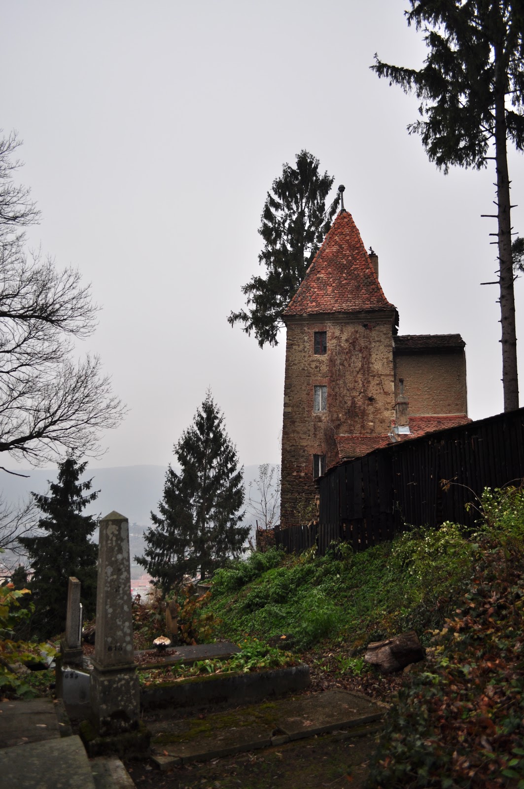 Poze, Natura, Animale, Plante, Romania, Valcea, Ionut Ungureanu