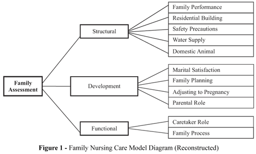 FAMILY NURSING ASSESMENT ~ Be a NURSE