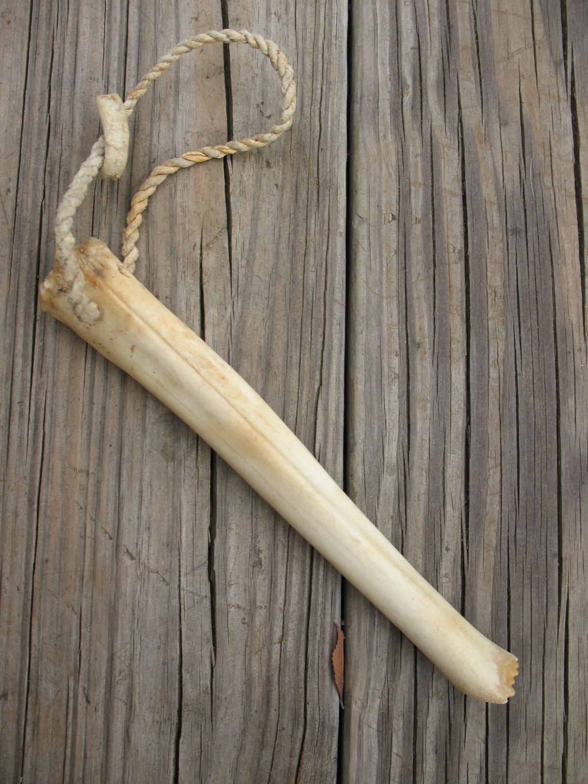 Sensible Survival: Making Rawhide