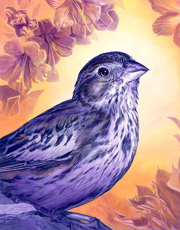 Alan Hawley Illustration: Finch Acrylics and Process