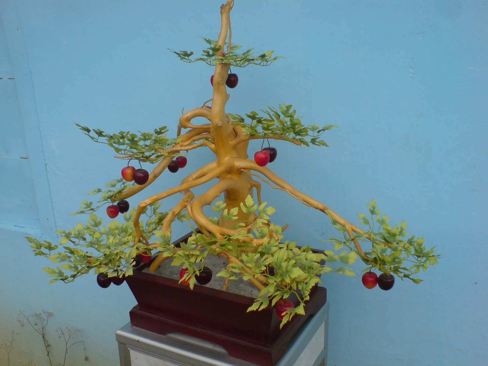 13+ Kerajinan Bonsai Dari Akar Kayu, Kerajinan Top