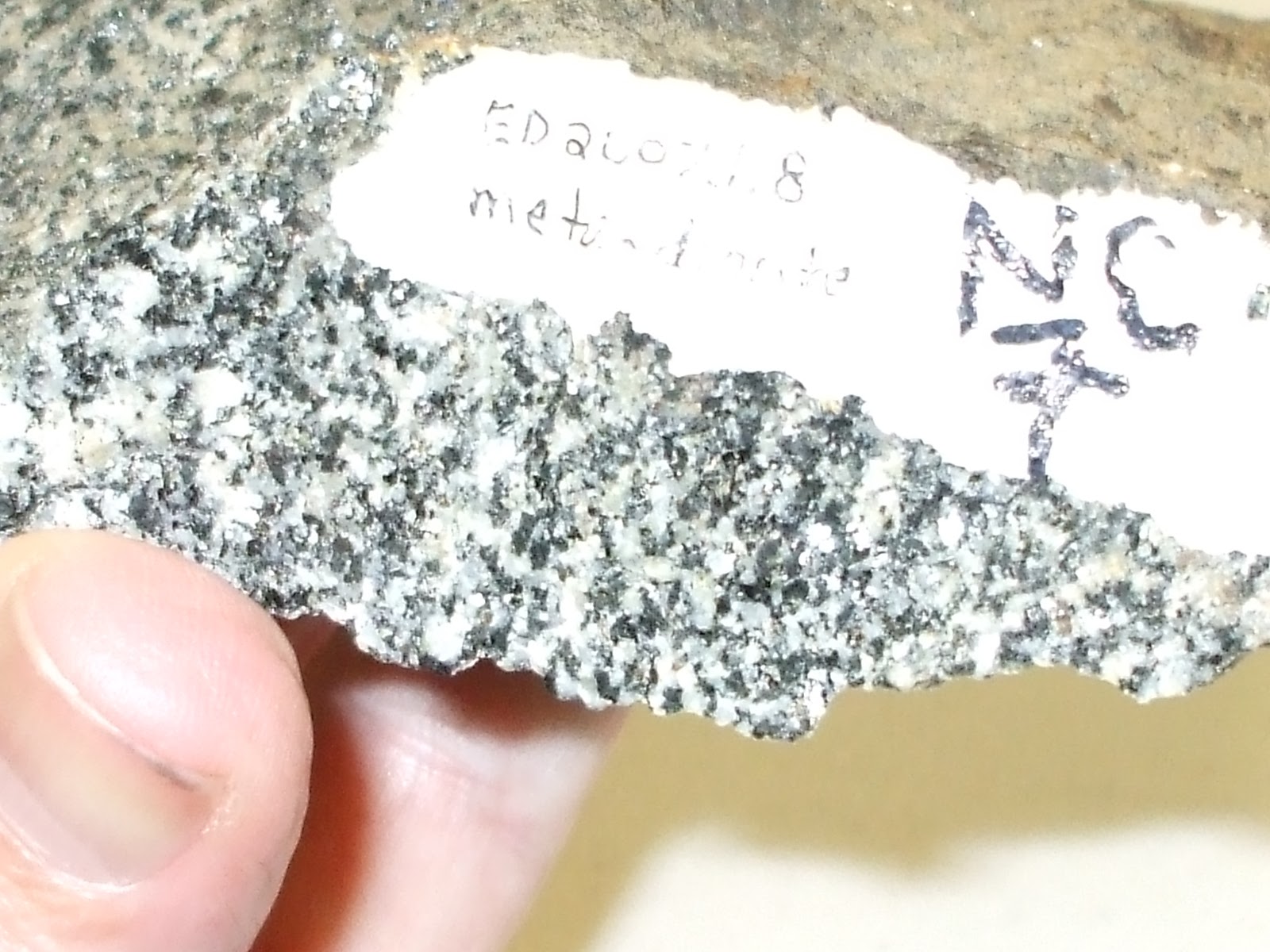 Eggs Come From The Store?: Exotic Carolina Terrane