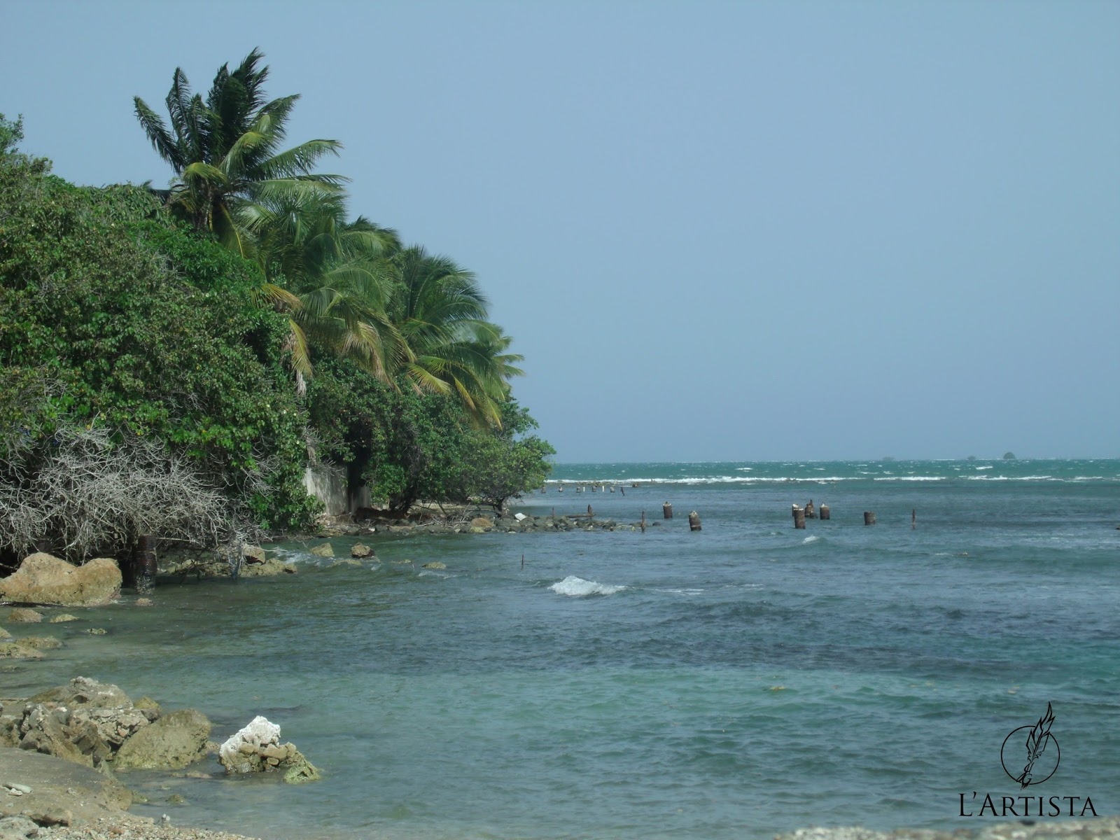 L'Artista: Fotografía