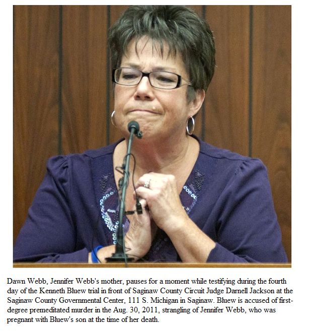 OIDV Project Of Michigan - Officer Involved Domestic Violence Project ...