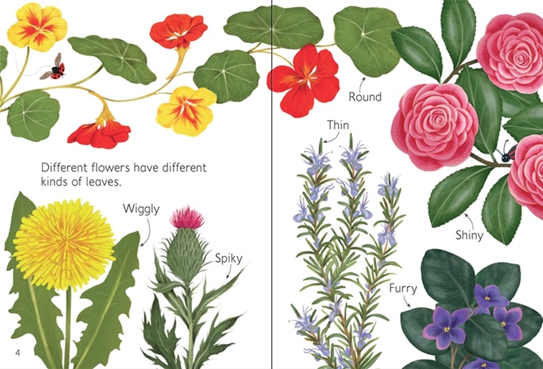 Carti pentru copii in limba engleza: Young Beginners - o noua colectie ...