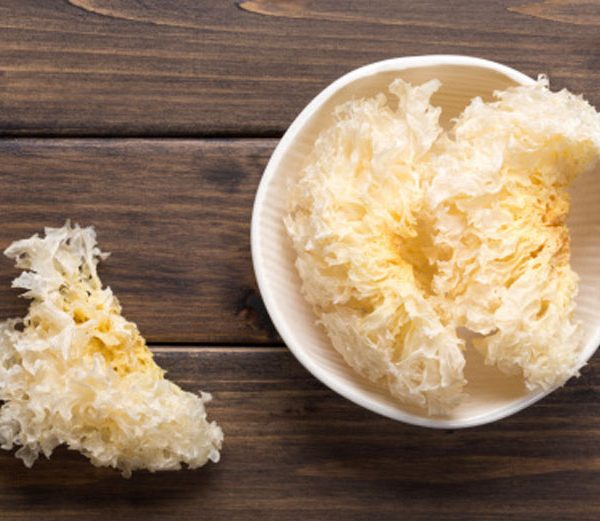 Kumpulan Resep Makanan Indonesia: Temukan Manfaat Kecantikan Wajah dan ...