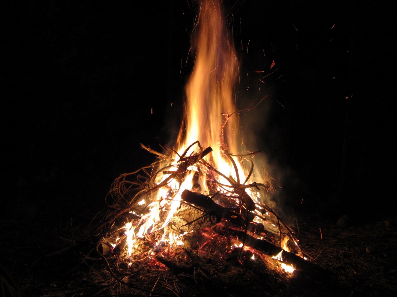 musings from the marsh...: April 2011