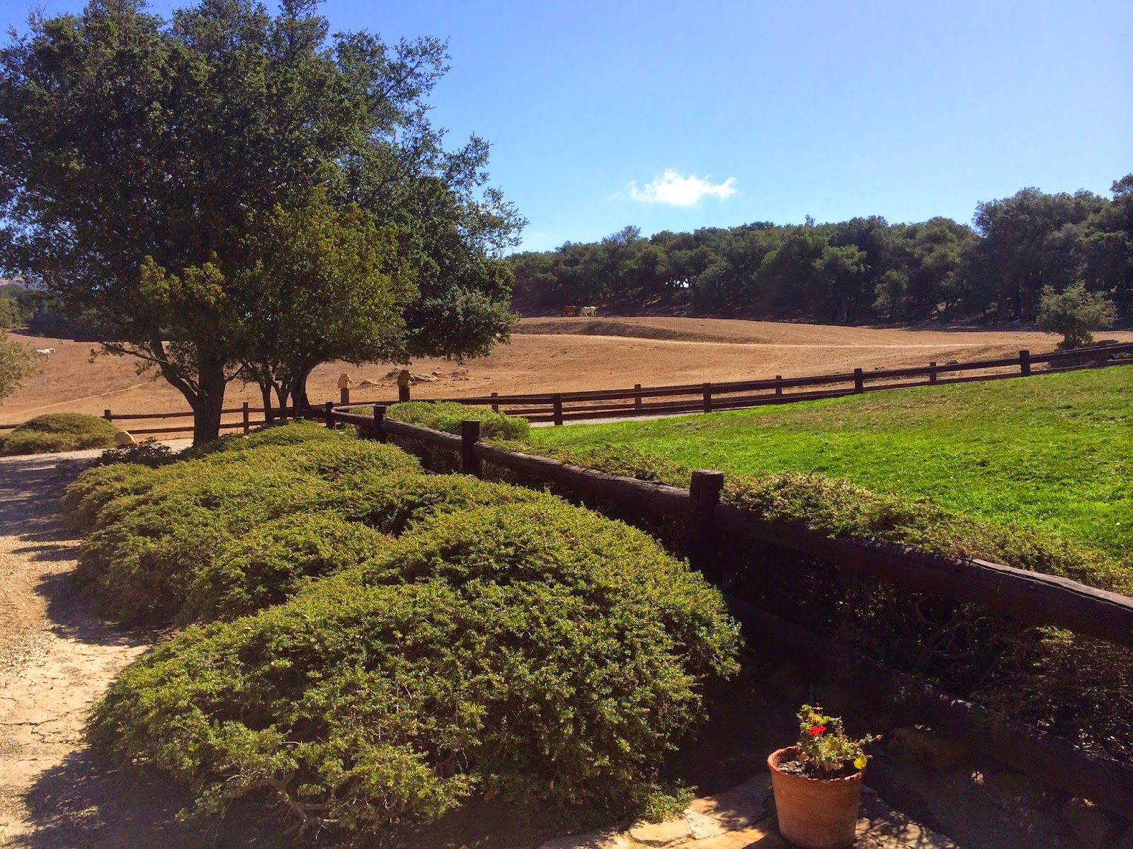 Dan Cirucci: Photos: A Day At The Reagan Ranch