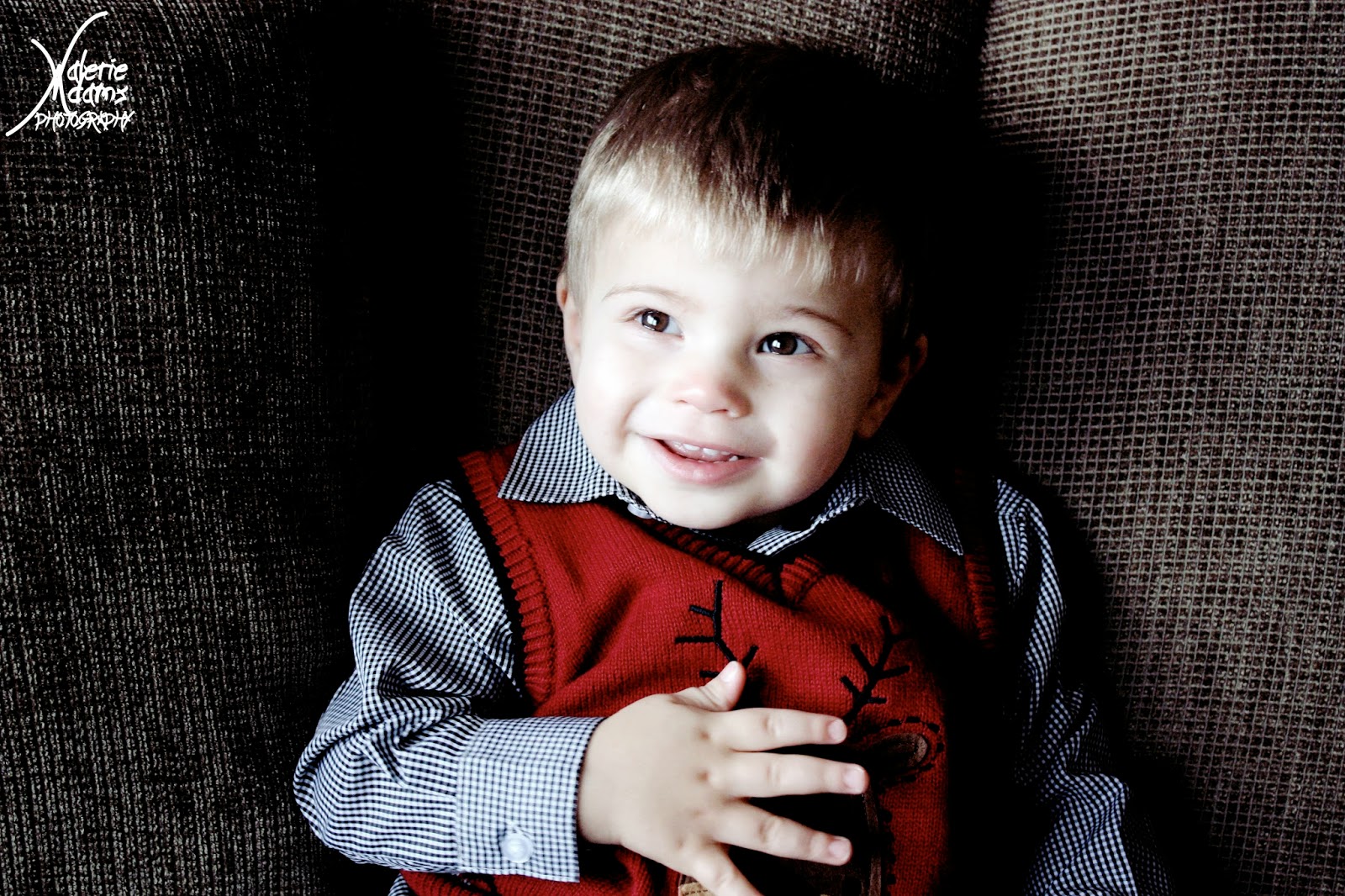 Valerie Adams Photography: Kitson Family - Christmas Cards