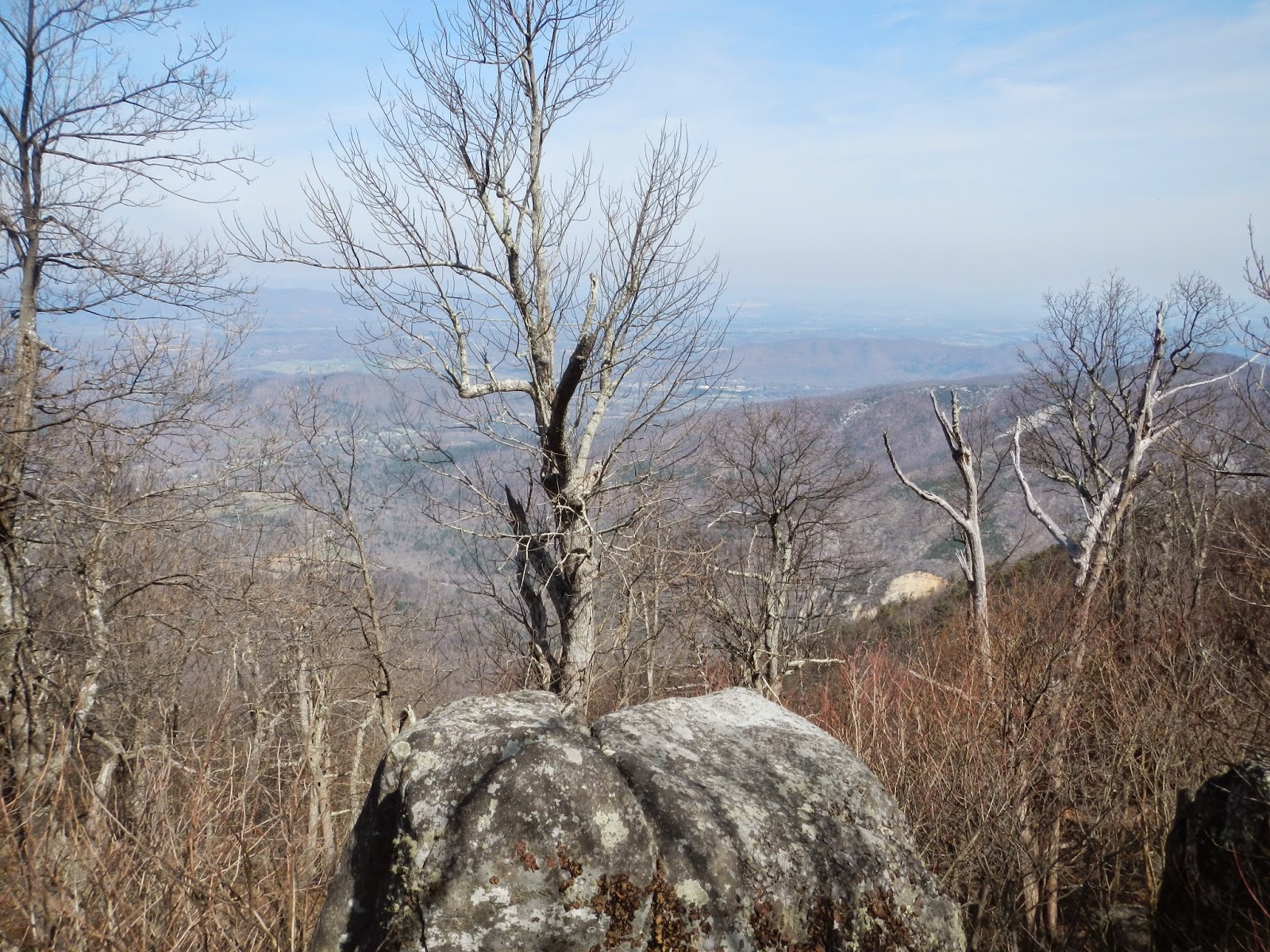Wandering Virginia: Thunder Ridge Wilderness, Virginia
