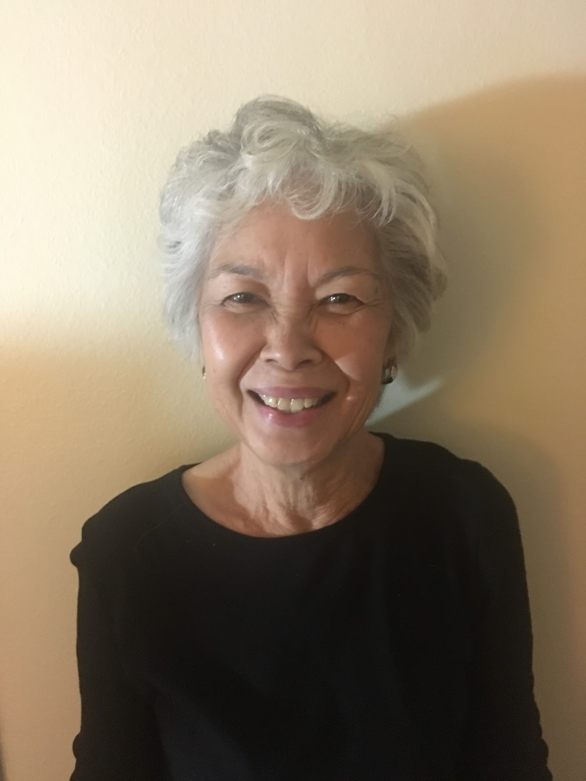 ART 3170 Civic Engagement: Social Issues "Action" Project: False ...