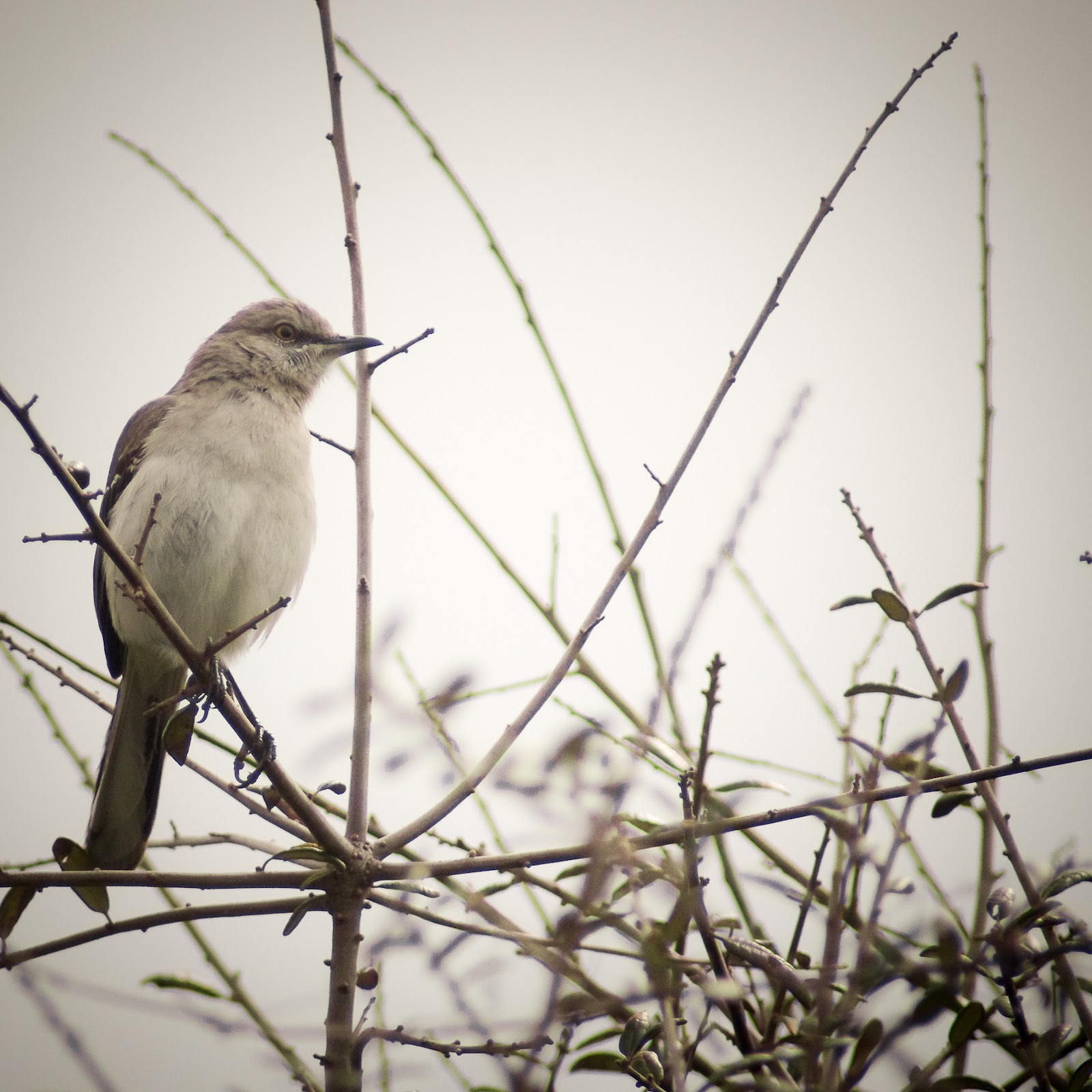 be yourself...everyone else is taken: February 2012