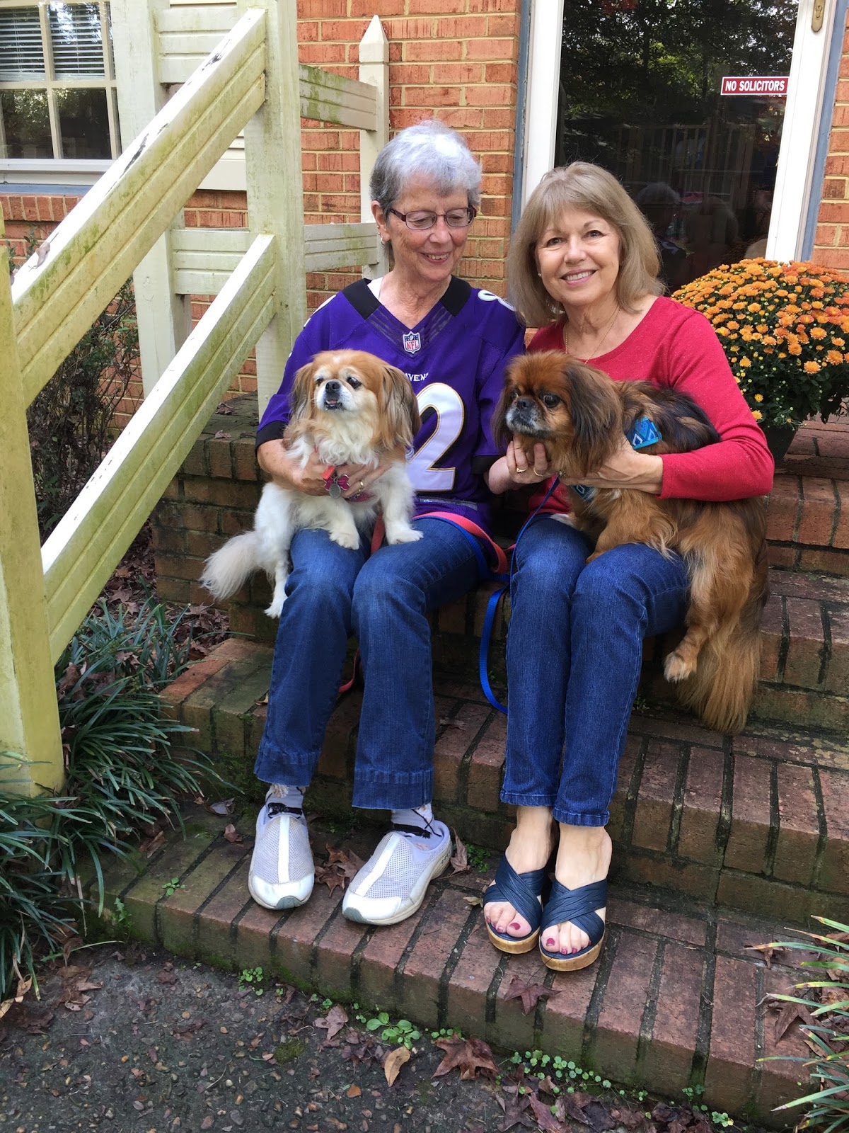 Must Love Pekes: FAREWELL SWEET BENNY/BENJAMIN