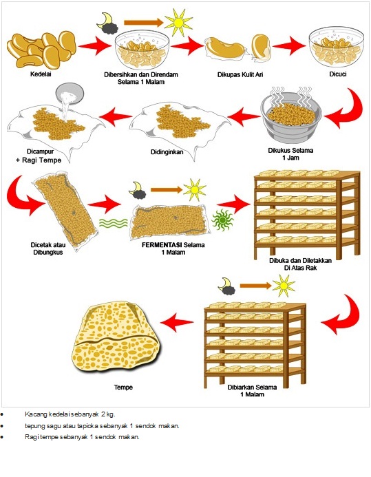 How to Make Tempe with Easy and Practical ~ Official Prof Sidiq Tri