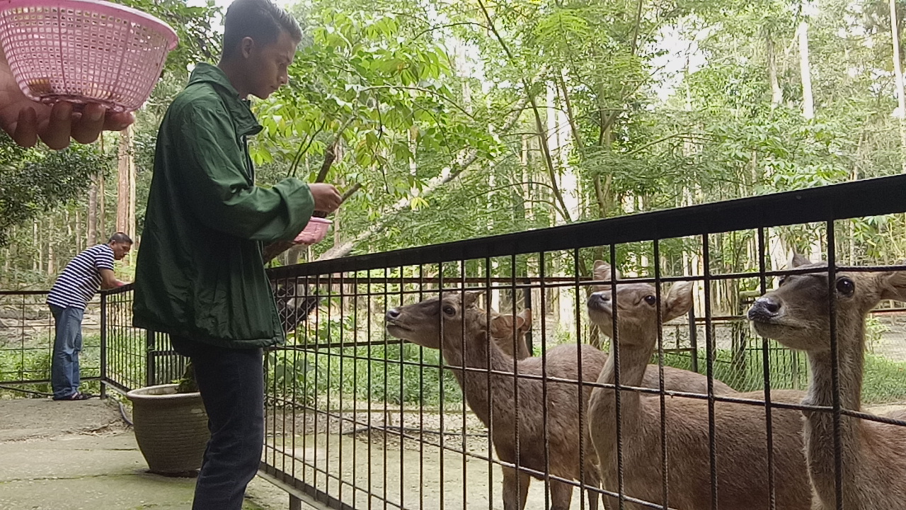 Temerloh: Deerland Park Lanchang Pahang